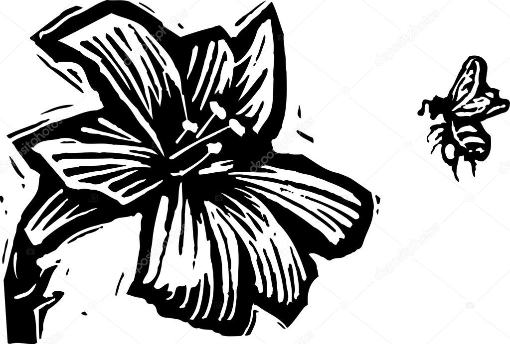 Woodcut Illustration Bee