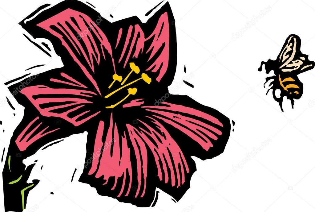 Woodcut Illustration of Bee Pollenating Flower Stock Vector Image by ...