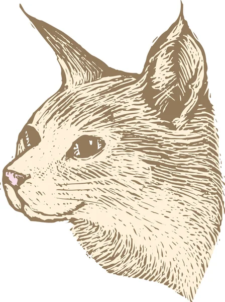Cat Face Side View Drawing