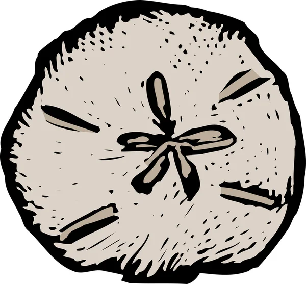 360 Sand dollar art Vector Images, Sand dollar art Illustrations ...