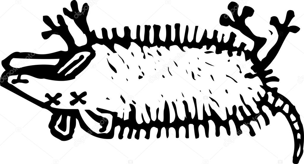 Vector Illustration of Dead Opposum Roadkill Stock Vector by ©ronjoe ...