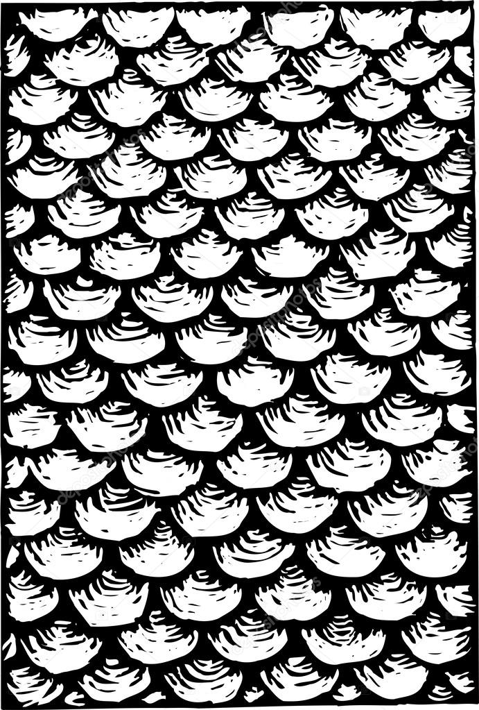 Vector Illustration Pattern of Fish Scales — Stock Vector © ronjoe ...
