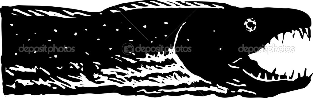 ᐈ Moray eel tattoo stock drawings, Royalty Free moray eel illustrations ...