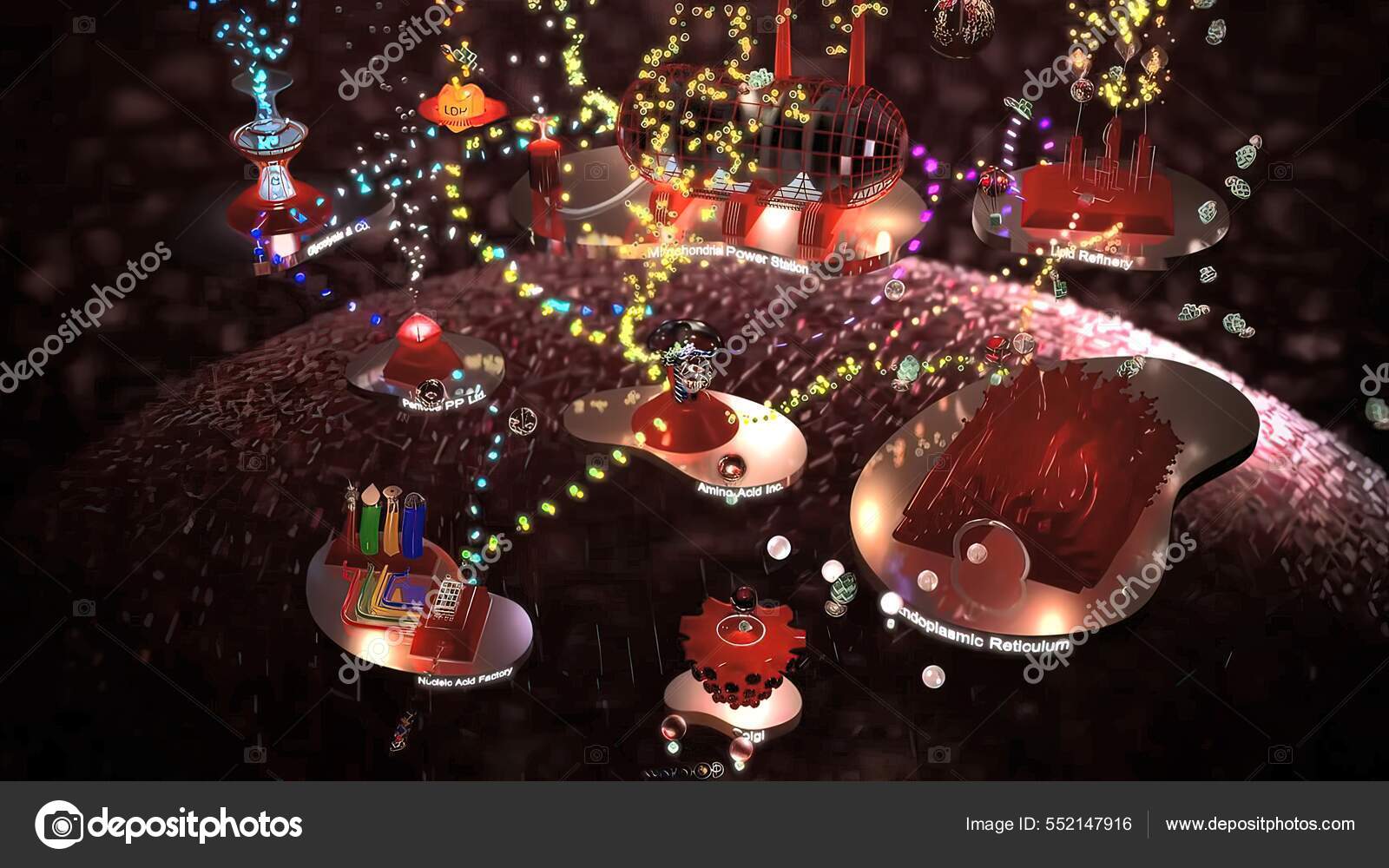 Las Polimerasas Adn Son Enzimas Que Sintetizan Moléculas Adn — Foto de ...