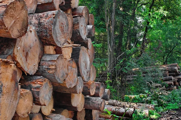 Indian timber demand Stock Photos, Royalty Free Indian timber demand ...