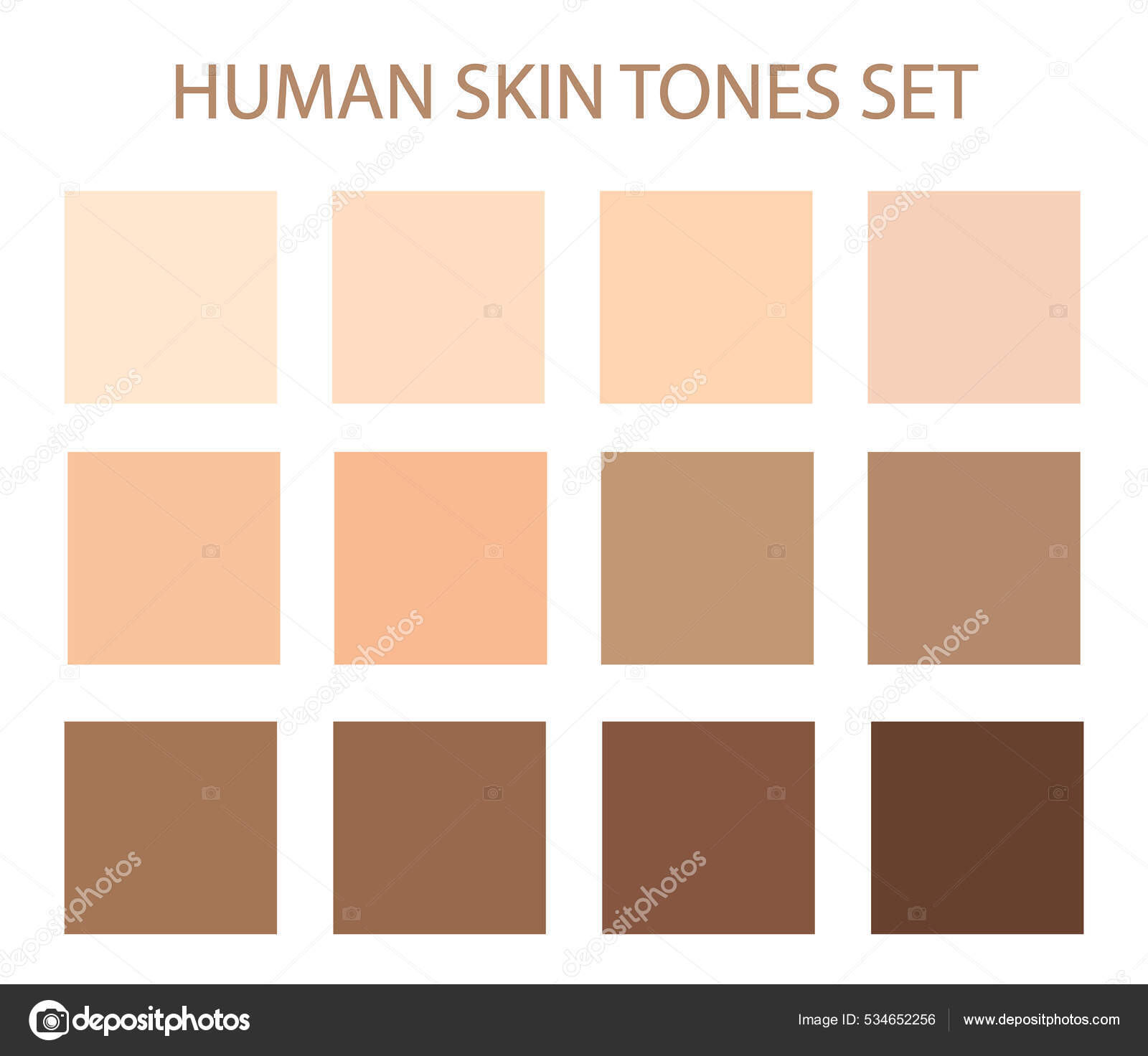 Skin Tone Color Scale Chart Brown Palette Vector Image 46 Off