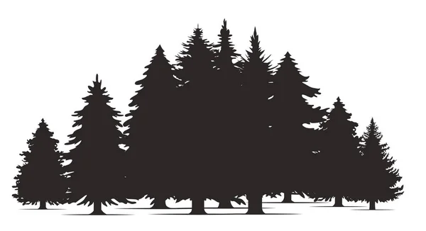 Cedar tree silhouette Stock Photos, Royalty Free Cedar tree silhouette ...