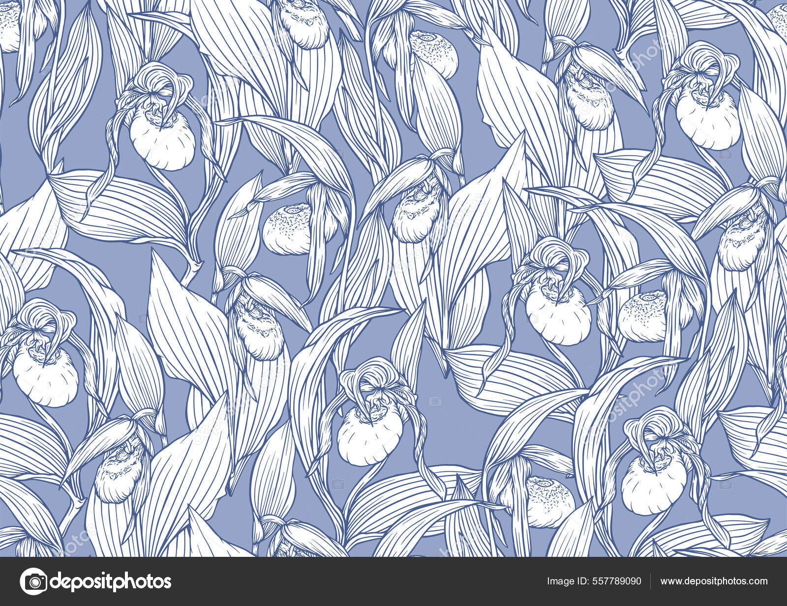Ladys slipper orchid. Cypripedioideae. Seamless pattern, background ...