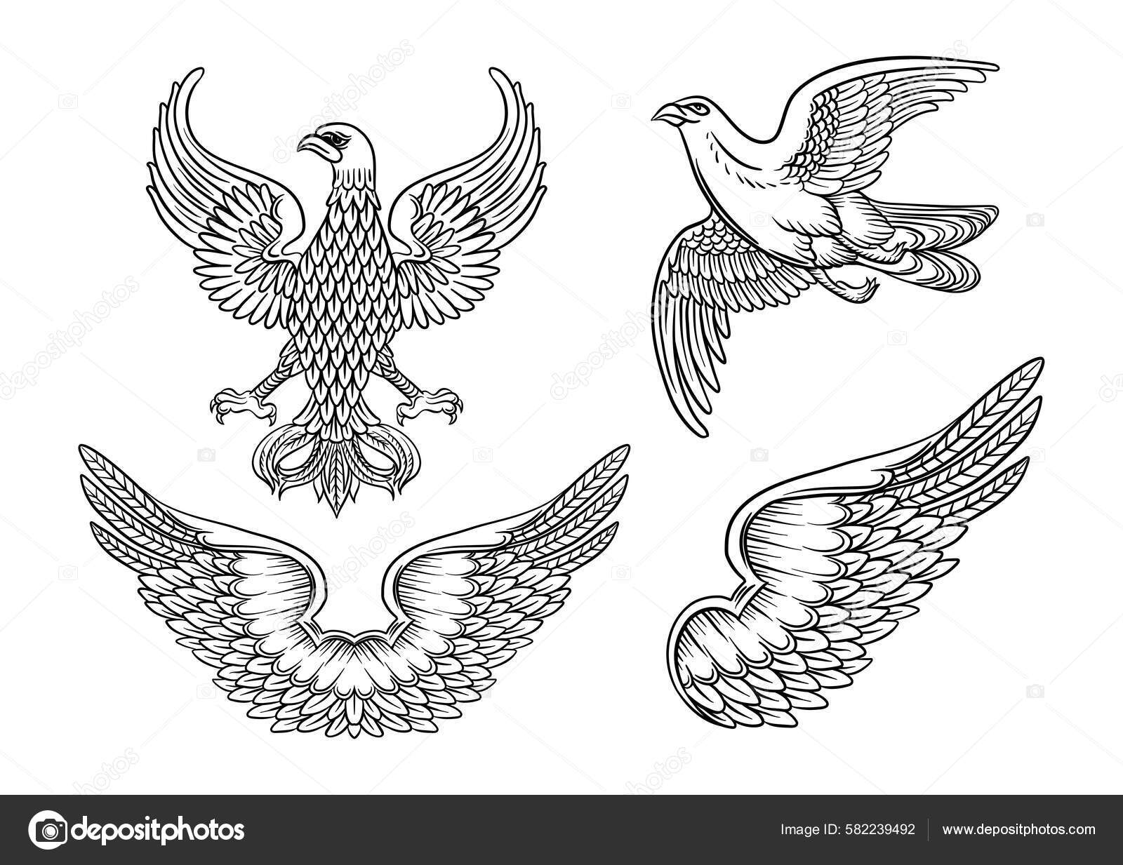 Falcon Symbols Clip Art