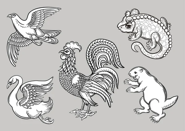 Salamander heraldic Vector Art Stock Images | Depositphotos