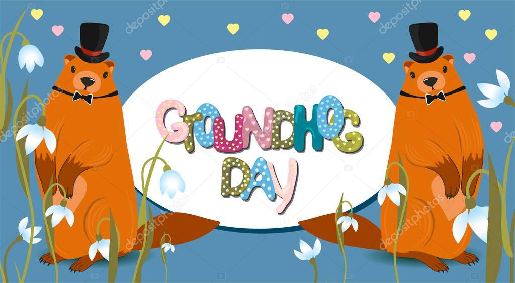 Feliz Día de la Marmota. bandera horizontal de las marmotas. Letras de texto para tarjeta de ...