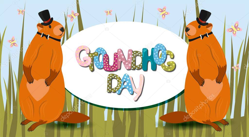 Feliz Día de la Marmota. bandera horizontal de las marmotas. Letras de texto para tarjeta de ...