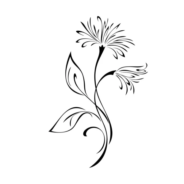 17,576,771 Flourish line Vector Images | Depositphotos