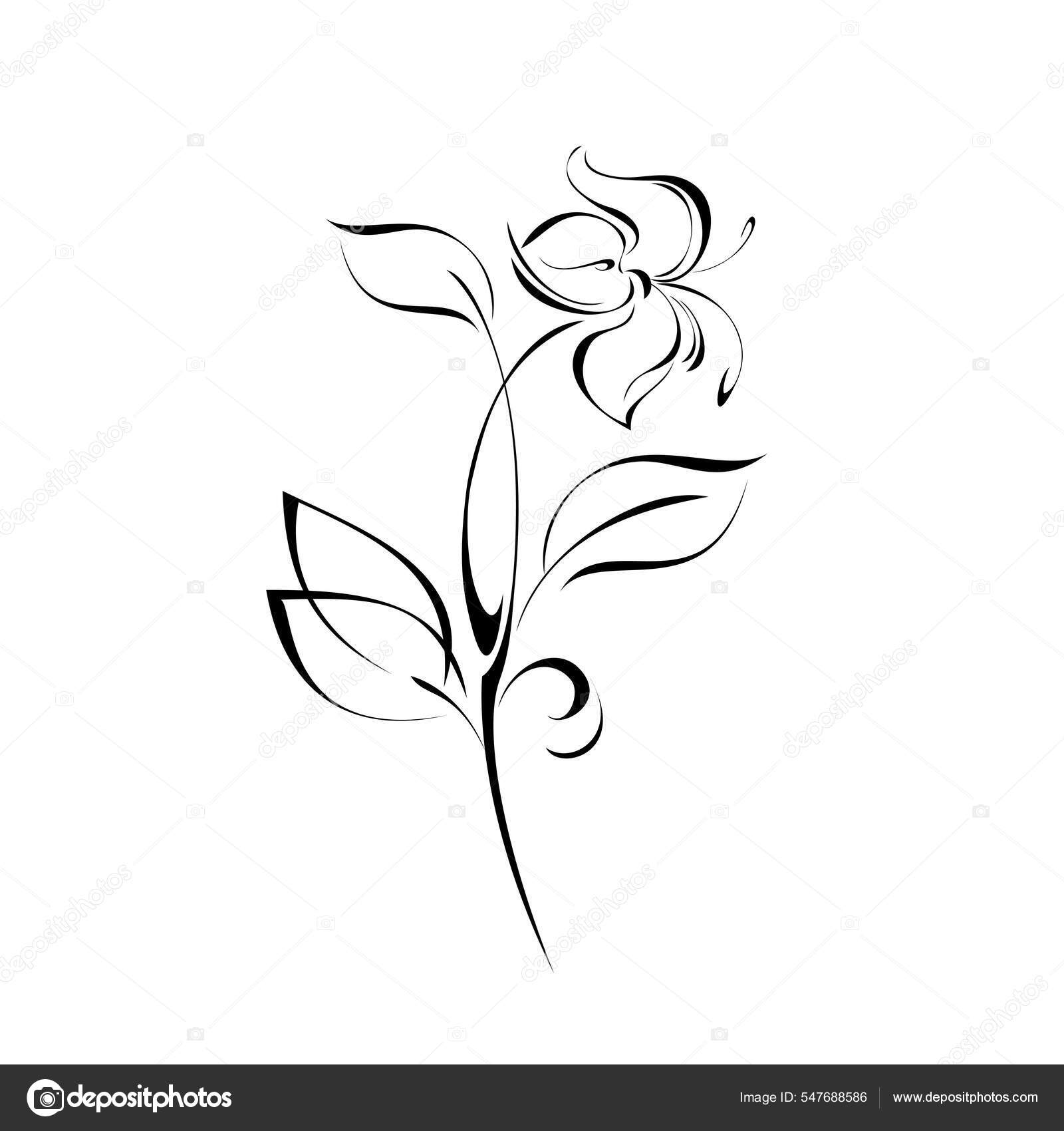 Flor Estilizada Tallo Con Hoja Líneas Negras Sobre Fondo Blanco Vector ...