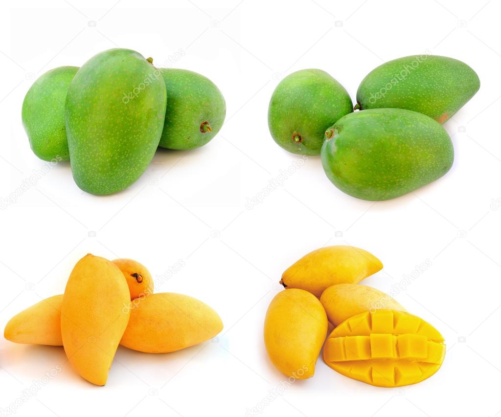 Yellow and green mango isolated on a white background — Stock Photo ...