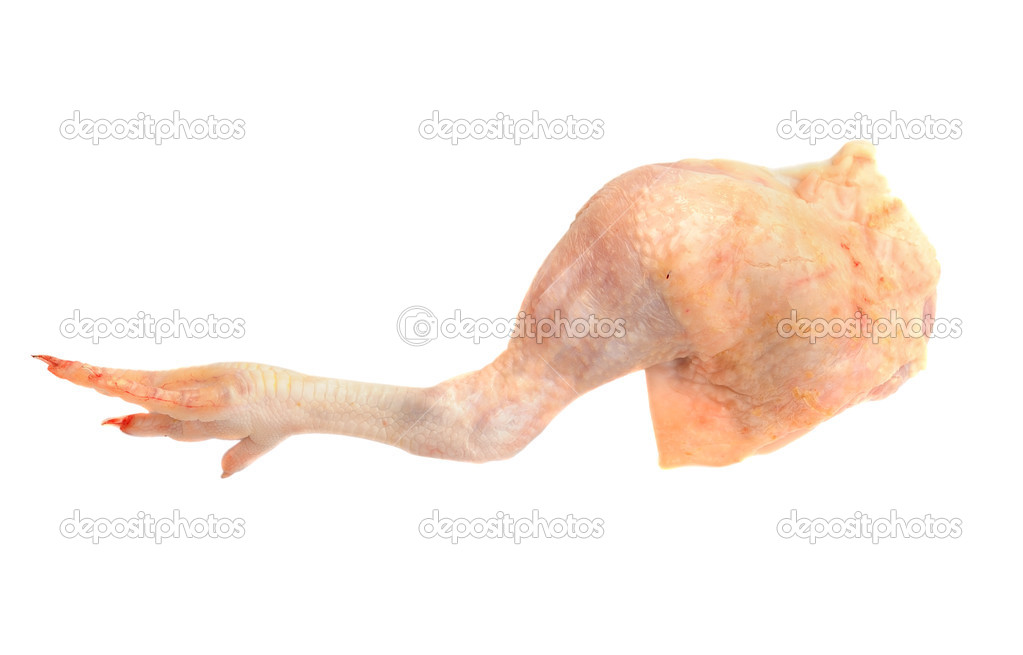 Chicken leg on a white background. — Stock Photo © sommaill #28429805