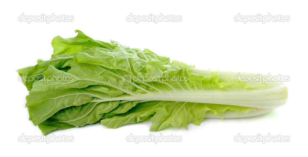 Lettuce leaves Stock Photo by ©sommaill 39925151
