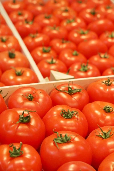 Tomatoes in big store - Stock Image - Everypixel