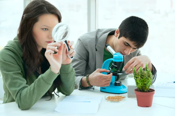 High School students concept Stock Photo by ©ANNA_MURASHOVA 33908375