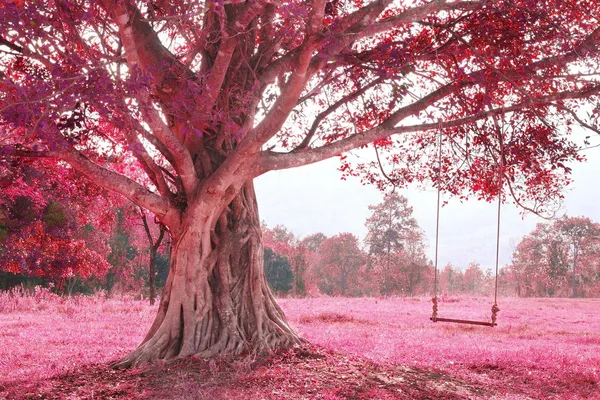 Swing on tree, pink imagine forest - Stock Image - Everypixel