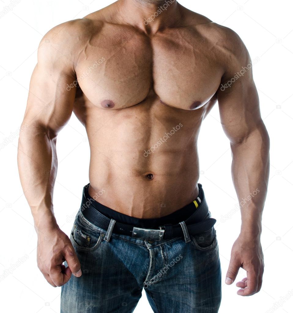 torso musculoso, pectorales, abdominales y brazos de culturista ...