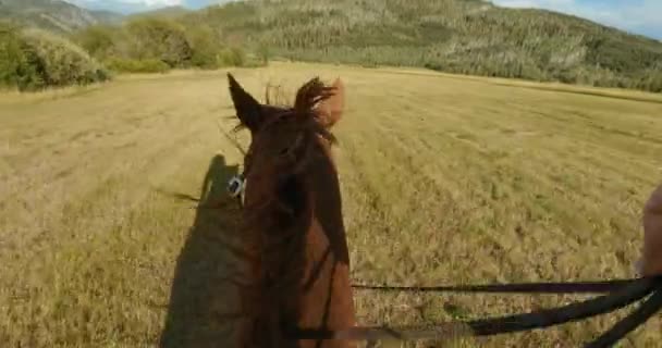 Vidéos pour Femme à cheval, Femme à cheval clips vidéo HD / 4K, footage ...