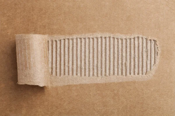 Cardboard rip Stock Photos, Royalty Free Cardboard rip Images ...