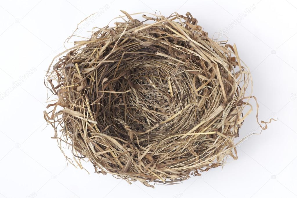 Empty bird nest — Stock Photo © koosen #43403135