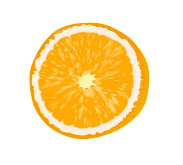 11,953,350 Dibujo de pomelo Vector Images | Depositphotos