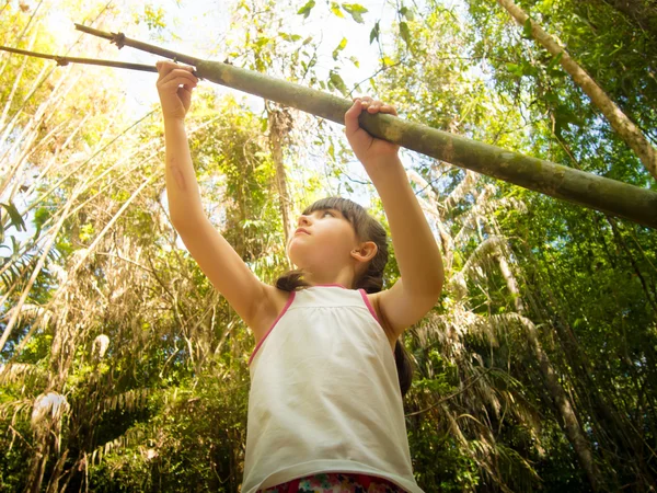 Imágenes de Selva para niños libres de derechos | Depositphotos