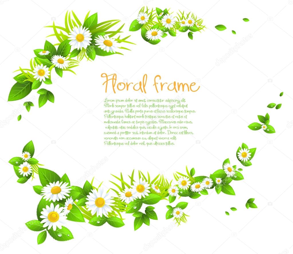 Chamomile frame Stock Vector Image by ©paprika_ #31441753