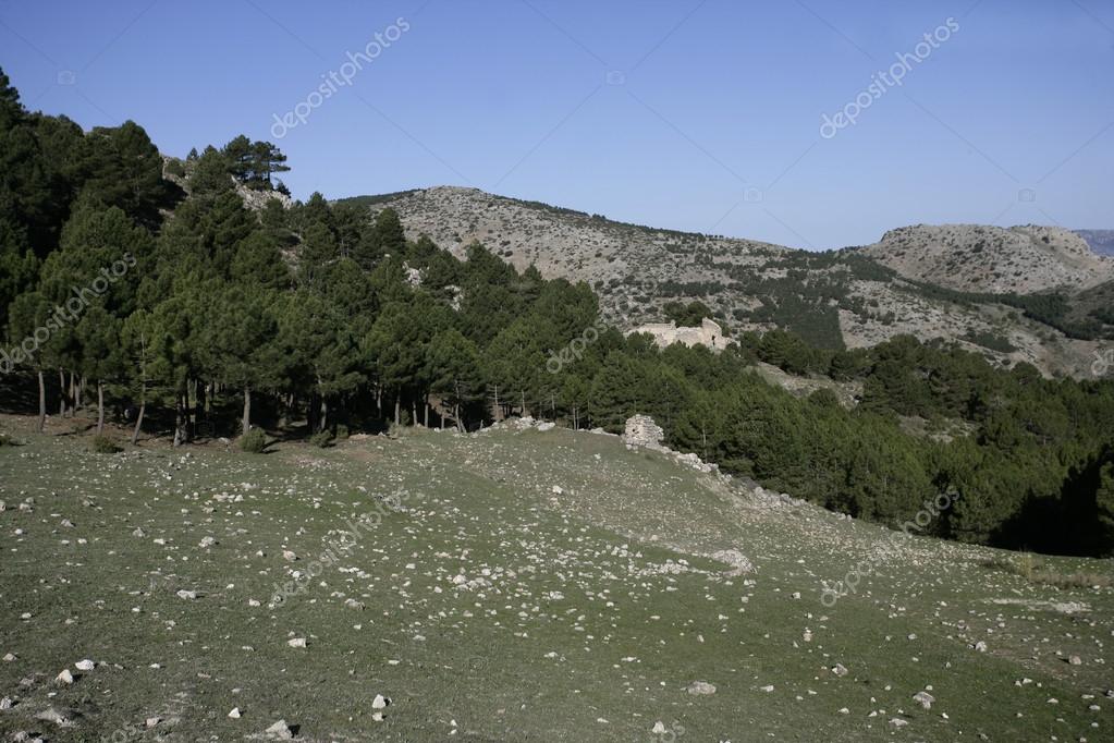 Espuna mountain, National Park, Stock Photo by ©mikelane45 31893807
