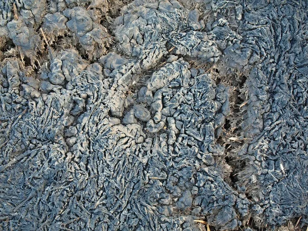 Abandoned burnt place. Burned grass solidified in rain into mud and ...