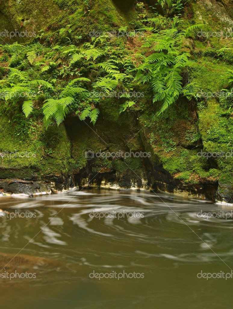 El final del verano en las líneas de los ríos de montaña con rocas de ...