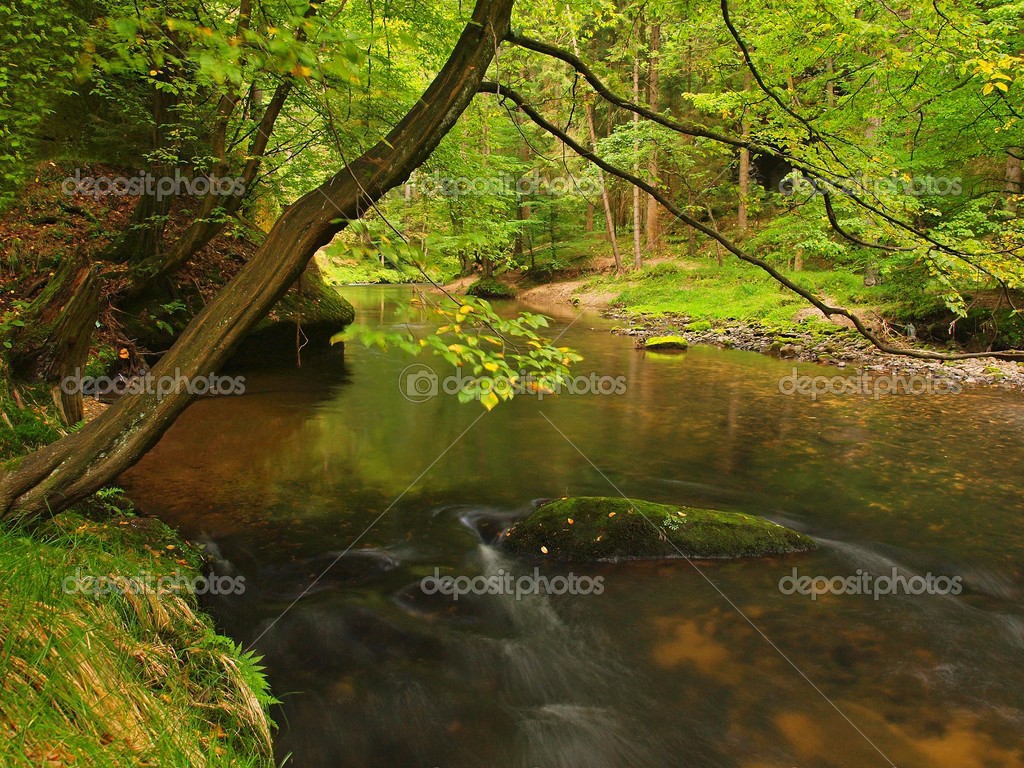 View into deep sandstone gulch with clear water of mountain river ...