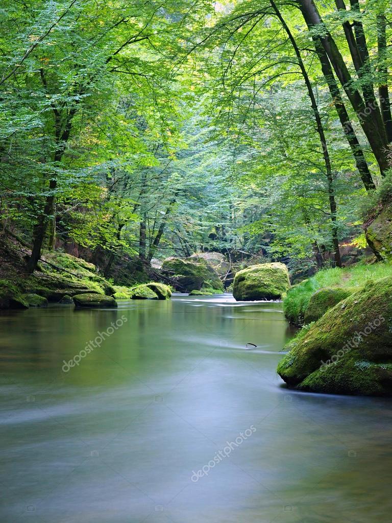 View into deep sandstone gulch with clear water of mountain river ...