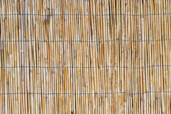 Cane roof texture — Stock Photo © stevanovicigor #19003631