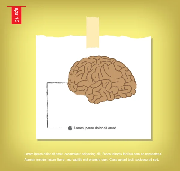 Brain tree illustration, tree of knowledge vector icon in Note — Stock ...