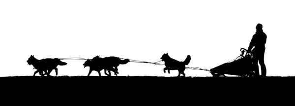 Dog sledding Vector Art Stock Images | Depositphotos