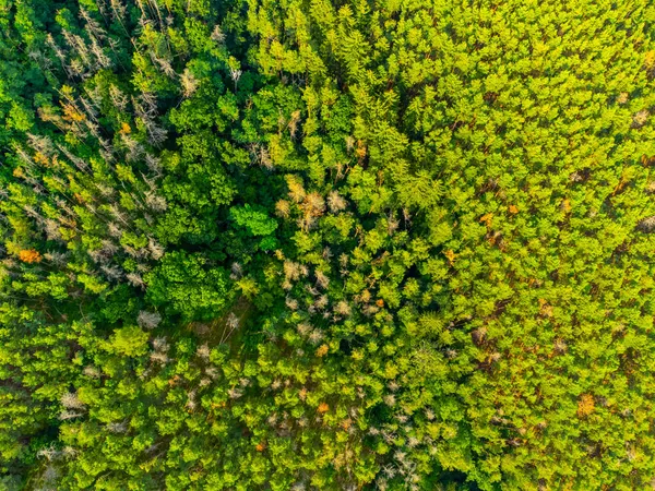 Muskoka canada Stock Photos, Royalty Free Muskoka canada Images ...