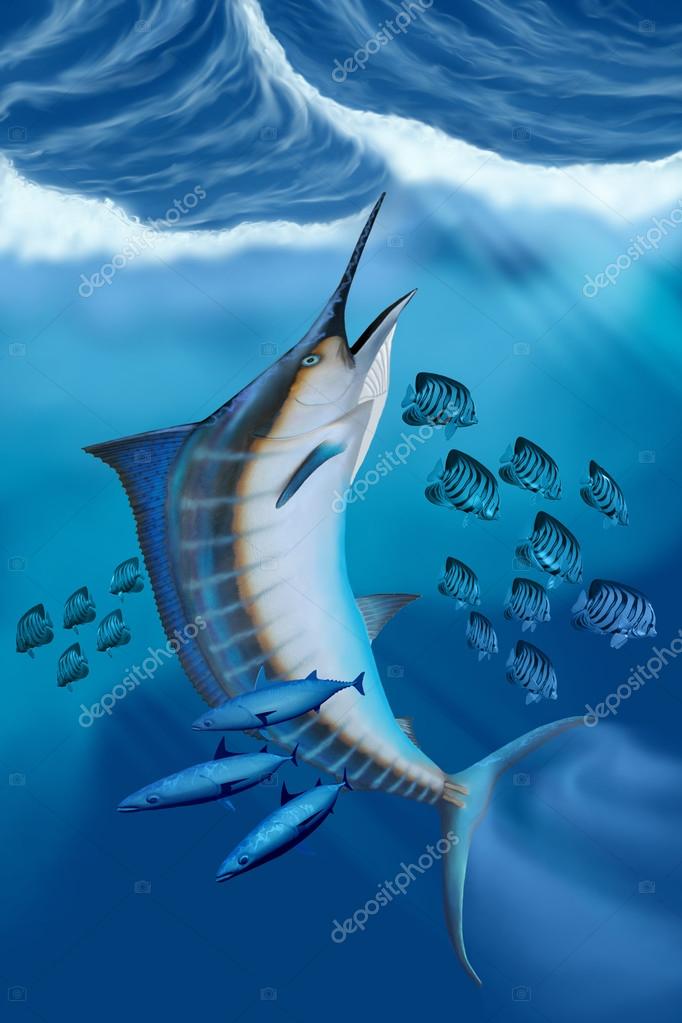 Marlin Fish — Stock Photo © CoreyFord #29655507