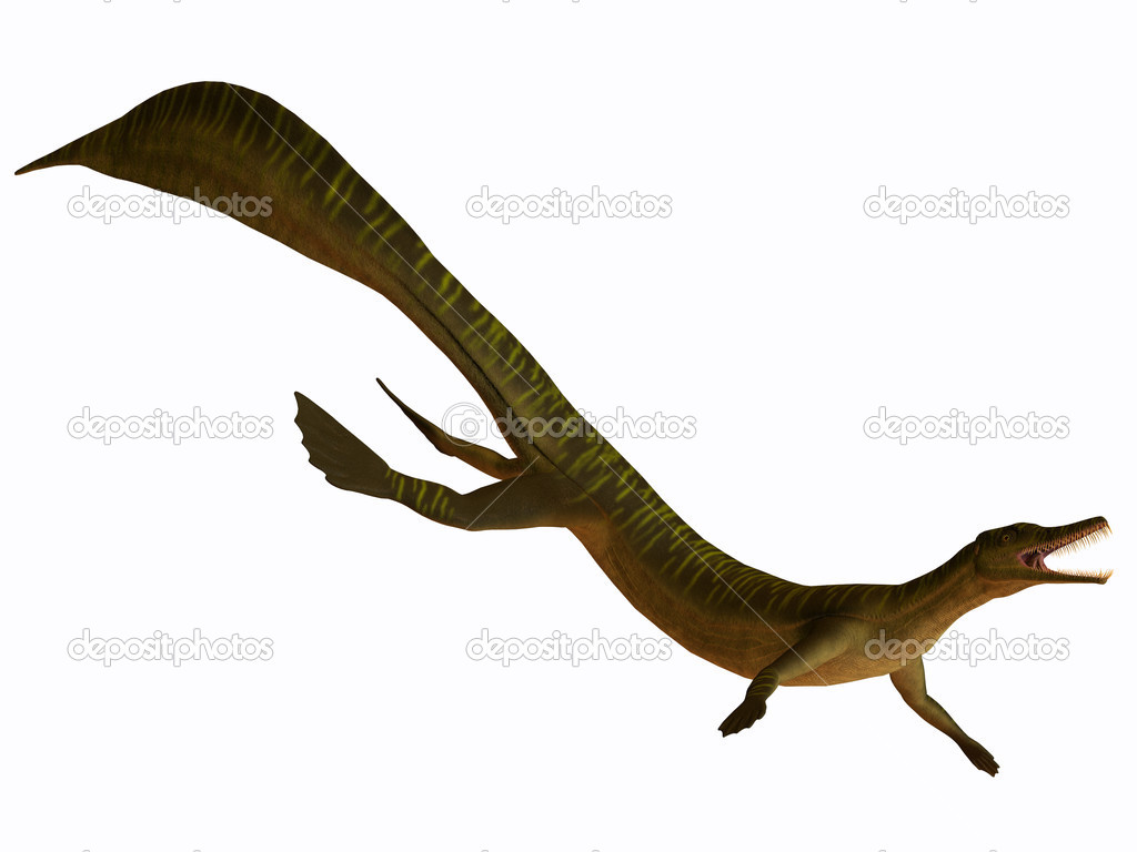 Mesosaurus on White — Stock Photo © CoreyFord #37684383