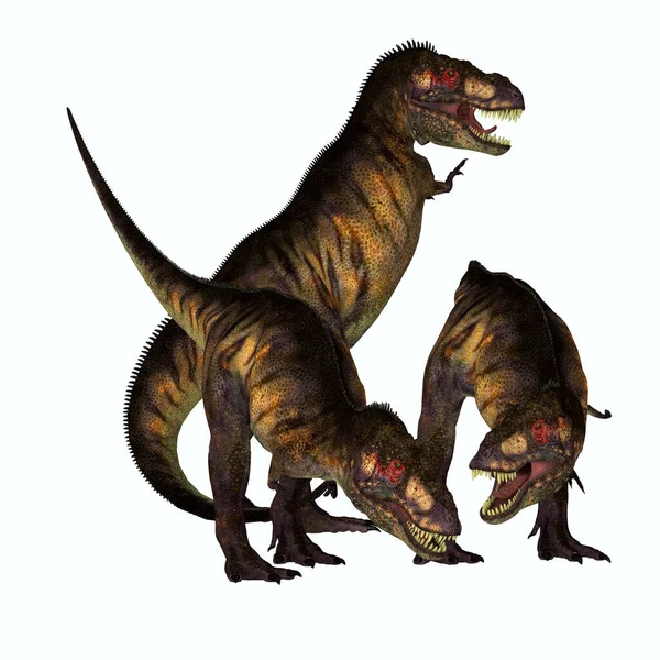 Tyrannosaurus rex pair Stock Photos, Royalty Free Tyrannosaurus rex ...