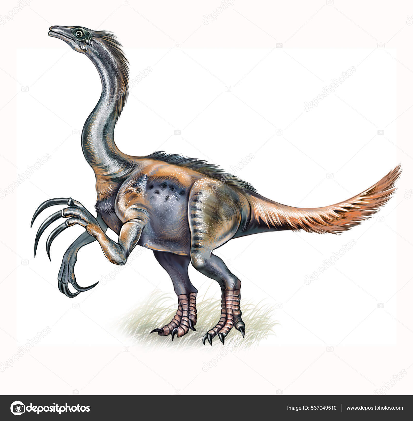 Therizinosaurus Cheloniformis Realistic Drawing Cretaceous Mesozoic ...