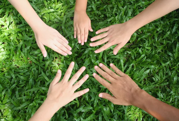Multicultural hands — Stock Photo © paulaphoto #72772211