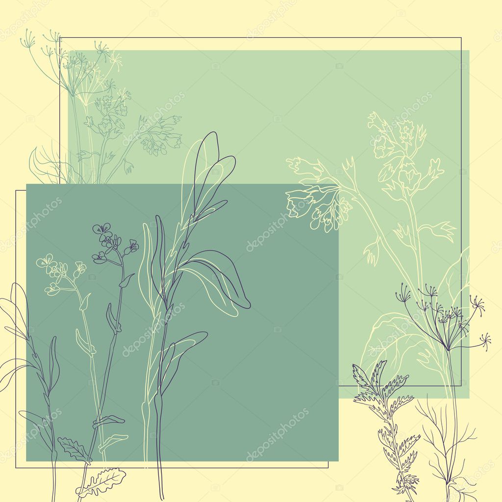 Line drawing herbs Stock Vector by ©cat_arch_angel 29374995