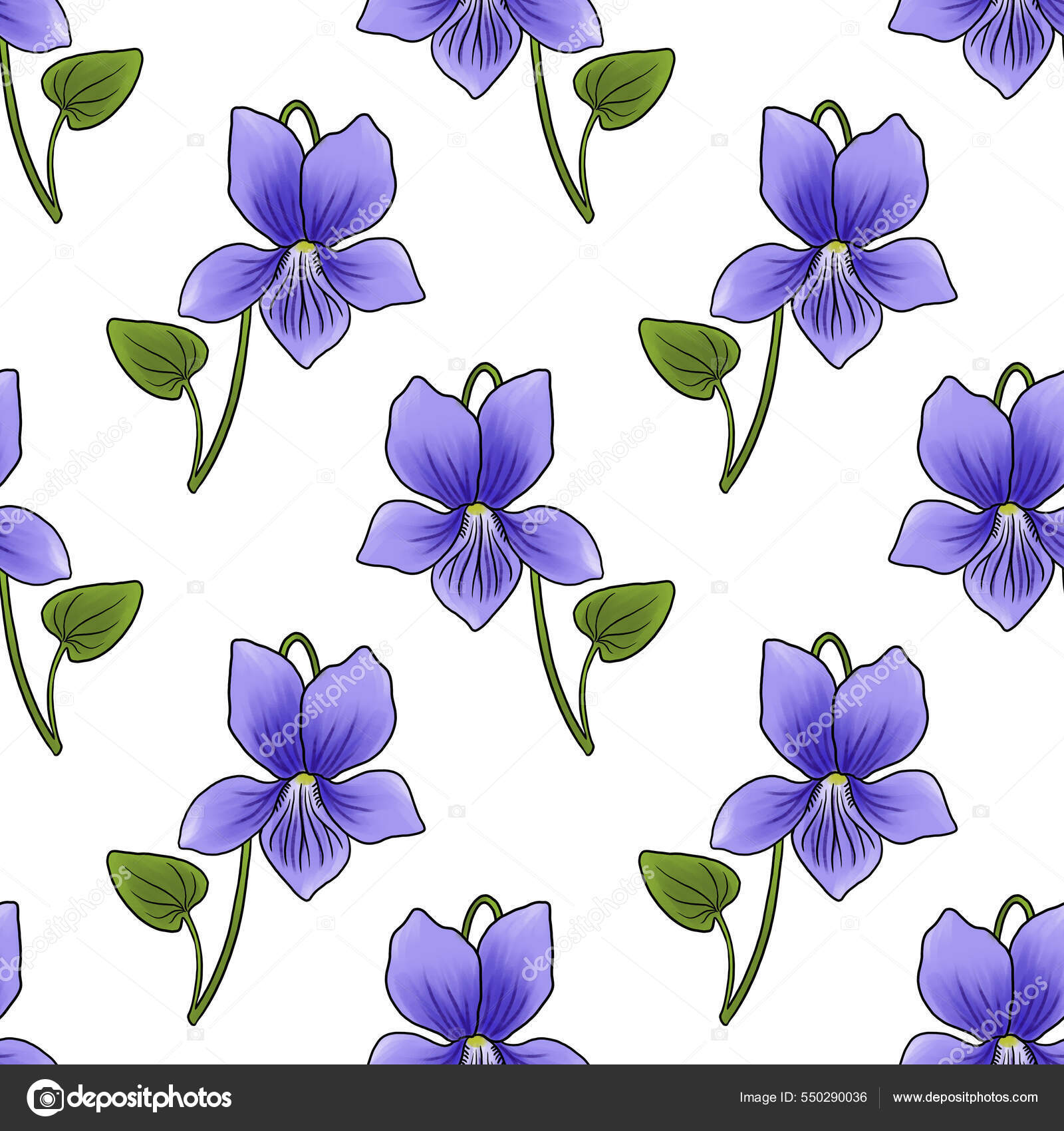 Viola Plant Drawing