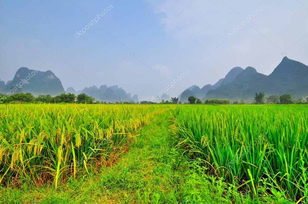 Li river ricefield mountain landscape in Yangshuo Guilin — Stock Photo ...
