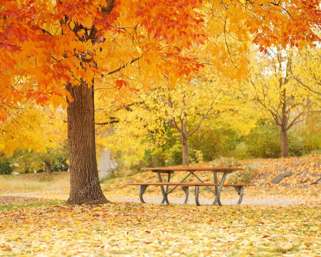 Park In Fall — Stock Photo © yobab #28999629