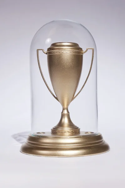 Trophy case Stock Photos, Royalty Free Trophy case Images | Depositphotos